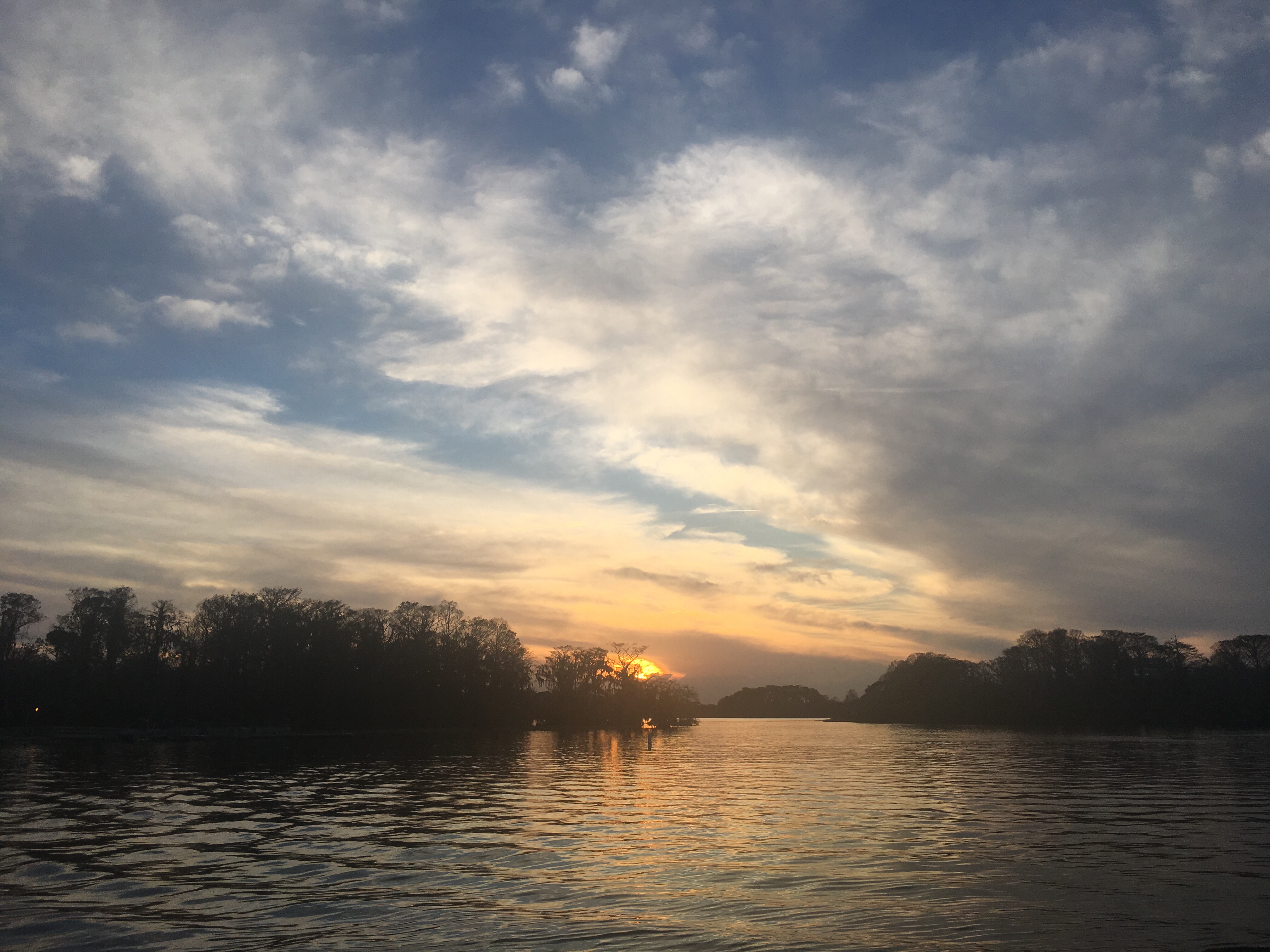 Img 9537 Traveler Blues